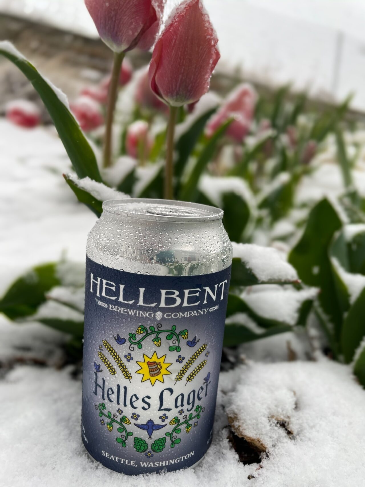 Current Covid Protocols - Hellbent Brewing Company