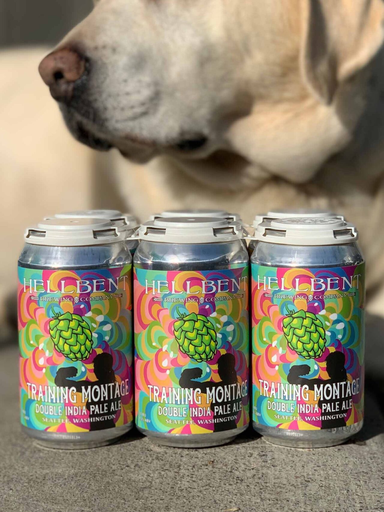 Home - Hellbent Brewing Company